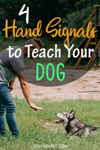 Dog Training With Hand Signals: What You Need to Know? - Love Of A Pet