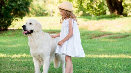 Top 10 Best Dog Breeds for Kids and Families - Love Of A Pet